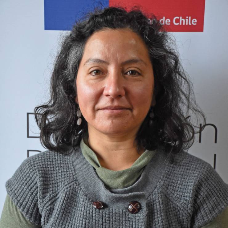 Renuncia seremi de Medio Ambiente en la región de Los Lagos - Osorno en la Red